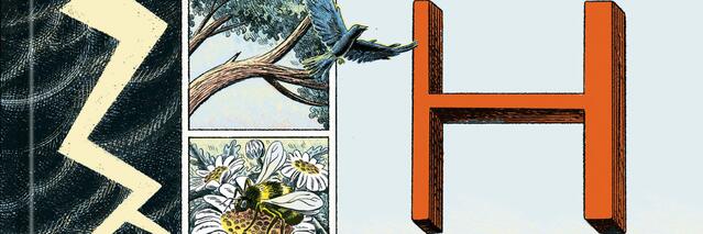 Home Page | Climate One